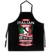 Italian Flag White Apron - Etsy