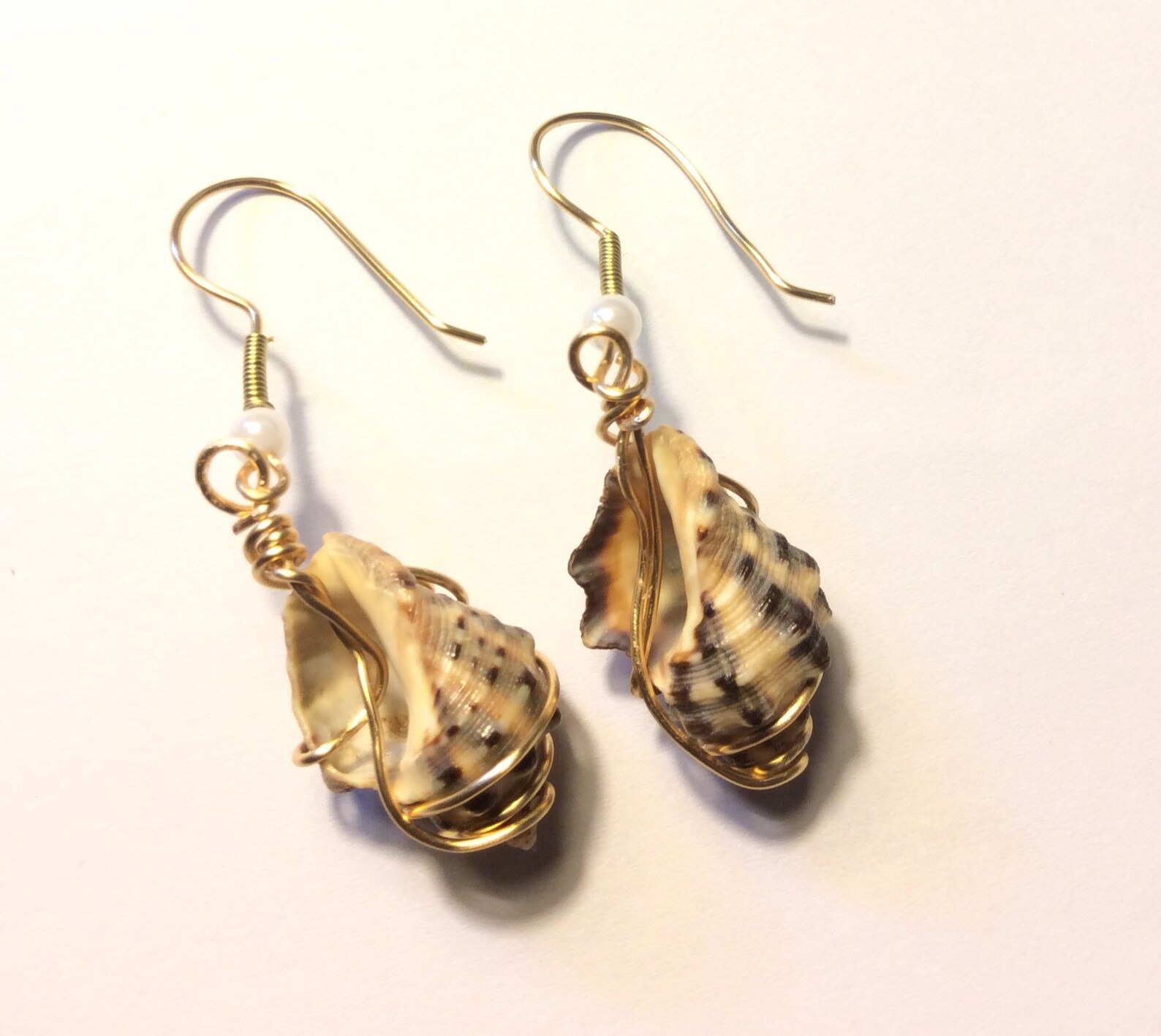 Gold Wire Wrapped Conch Seashell Earrings - Etsy