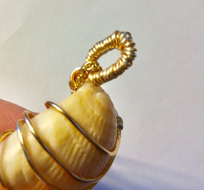 Gold Wire Wrapped White Scallop Seashell Pendant - Etsy