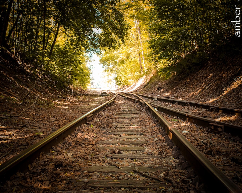 Rustic Railway Tracks Art Print - Autumn Forest Photography for Nature ...