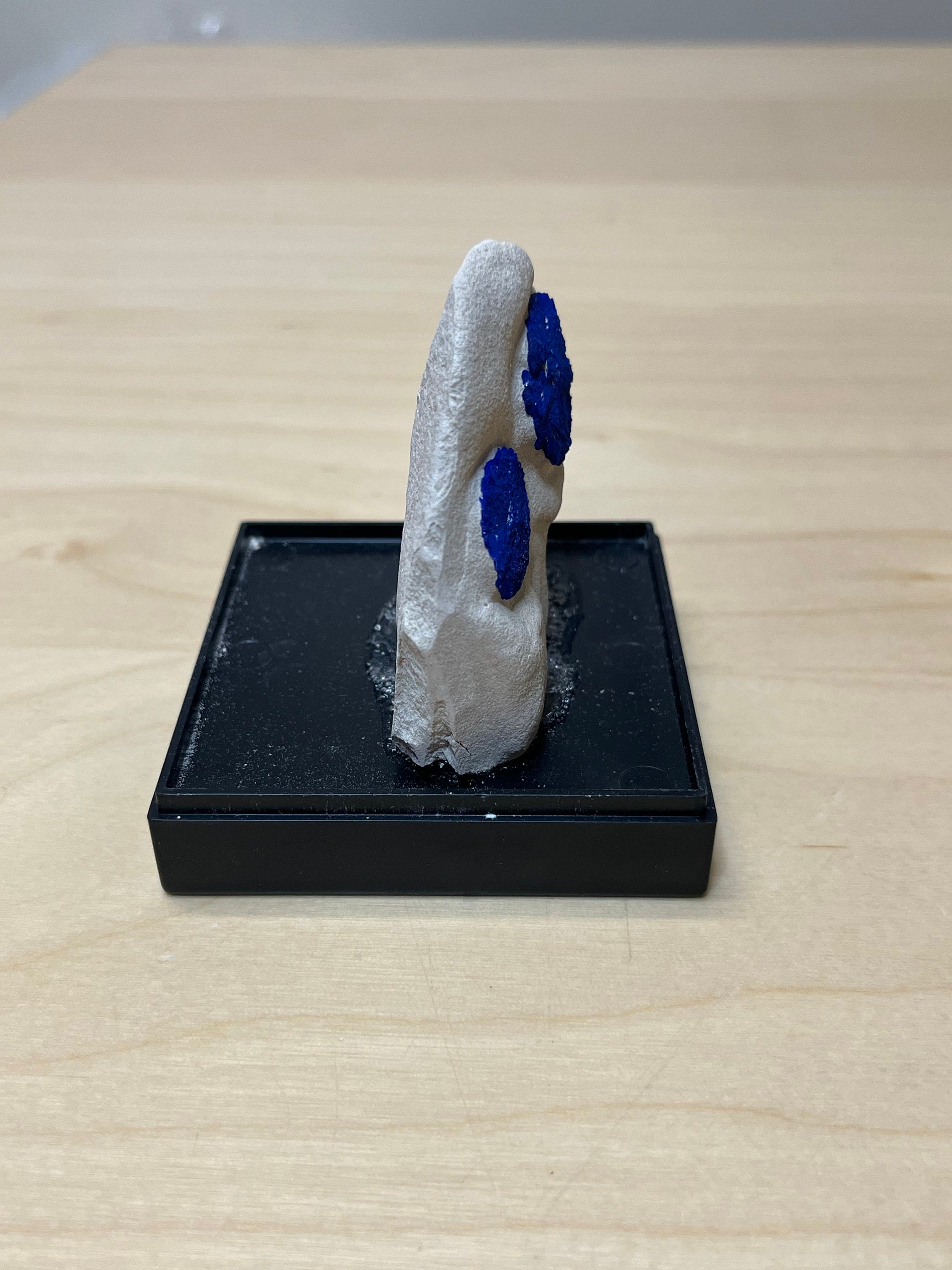 Azurite Suns From the Malbunka Mine in Areyonga, Northern Territories ...