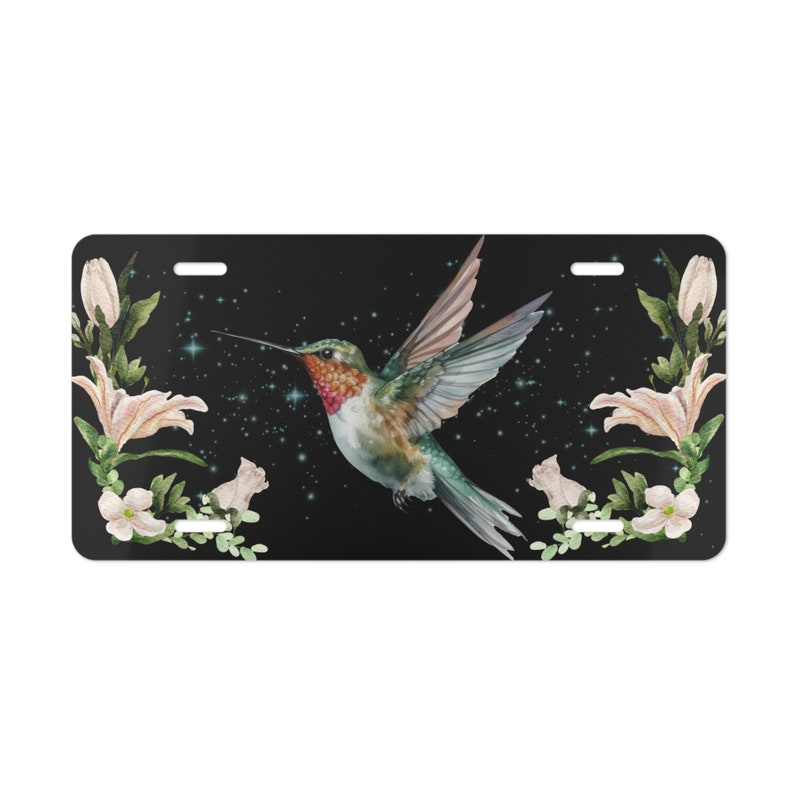 License Plate Bird Feeder - Etsy