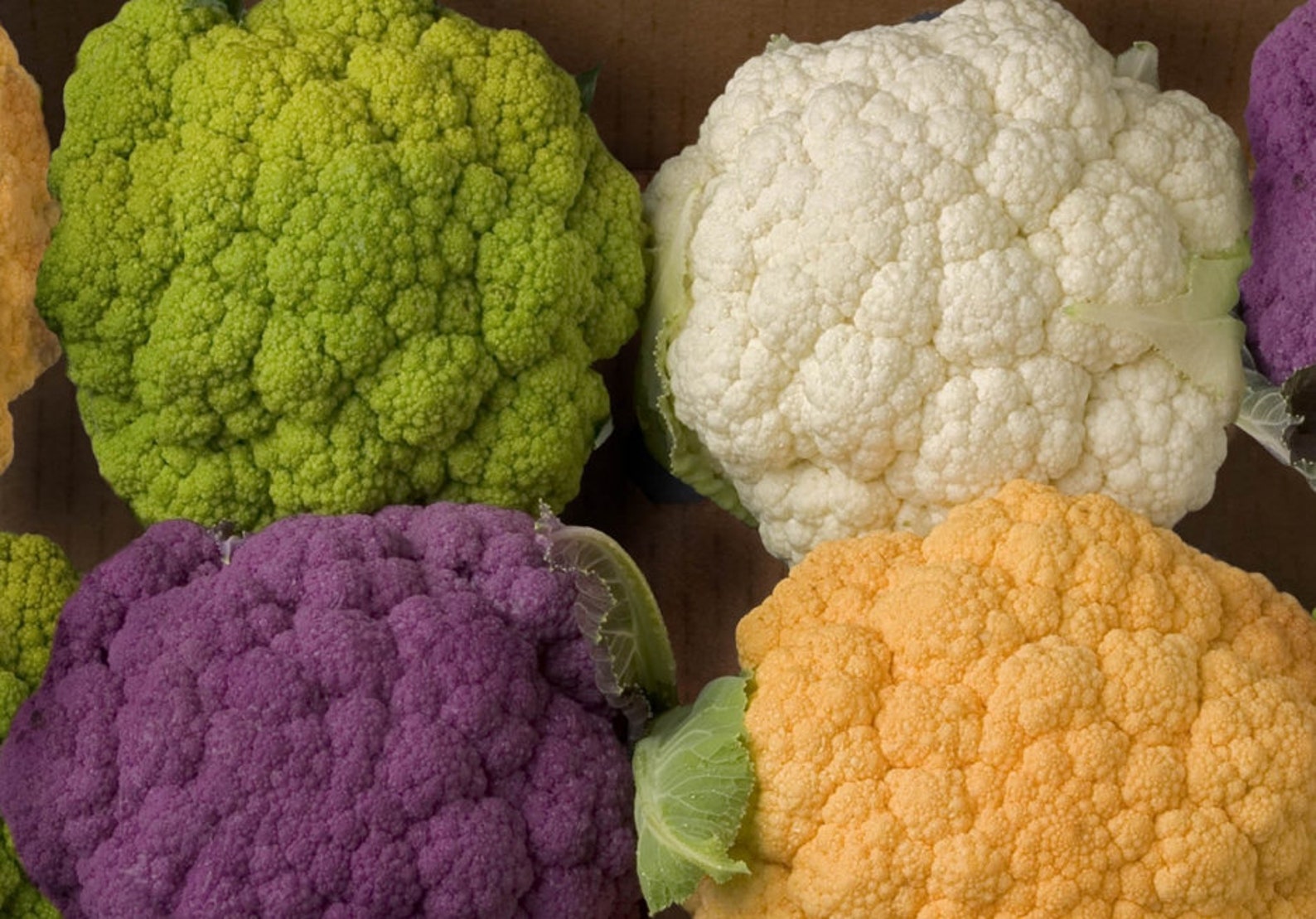 Cauliflower Chefs Choice Mix Seeds Heirloom Vegetable | Etsy