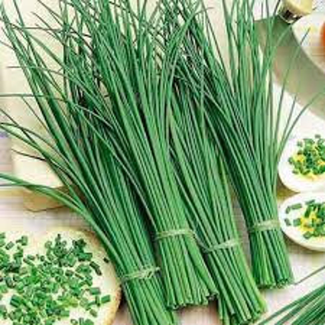 Rare Seeds Chives allium Schoenoprasum Organic Heirloom | Etsy