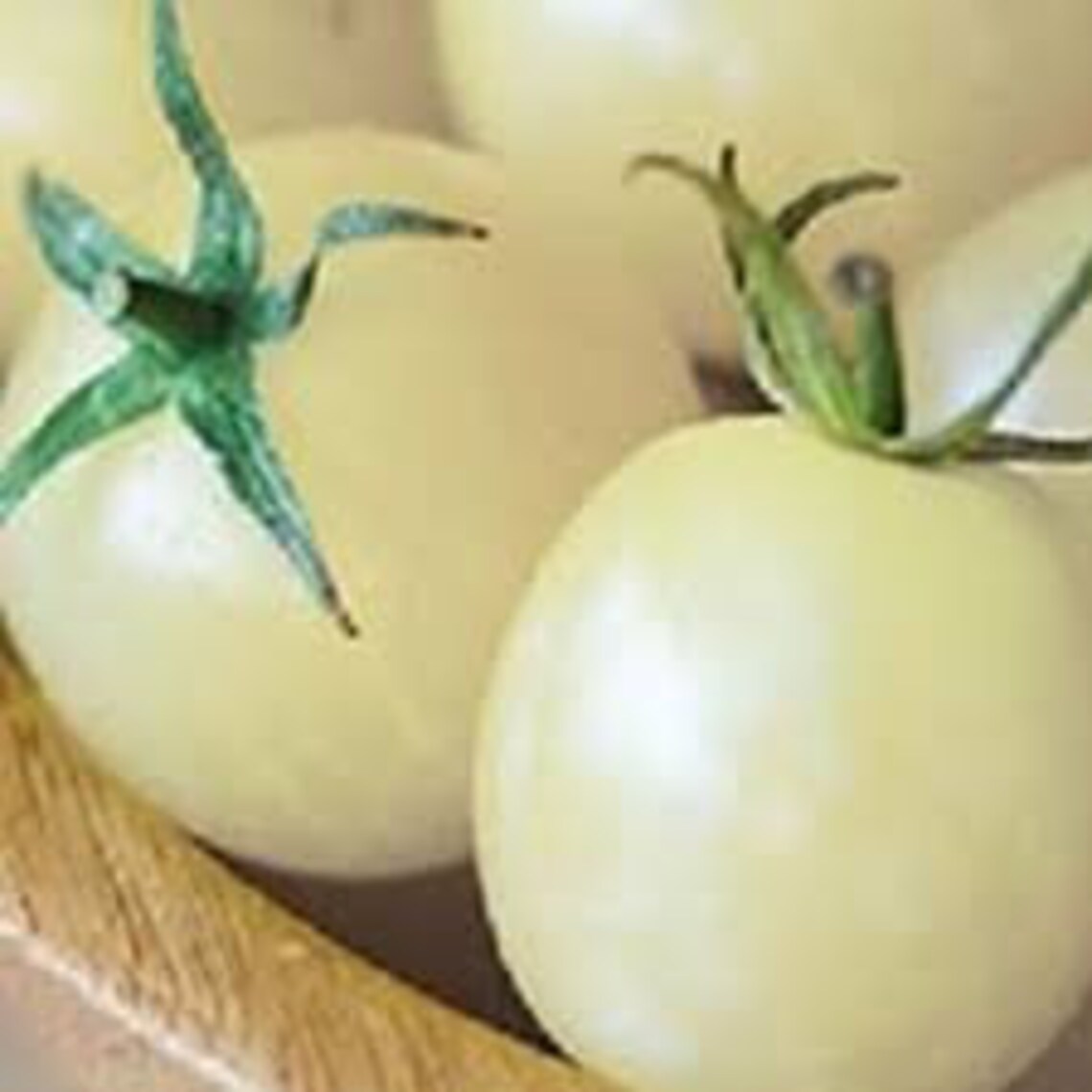 Cherry Tomato Snow White Seeds Heirloom Vegetable Seeds - Etsy Australia