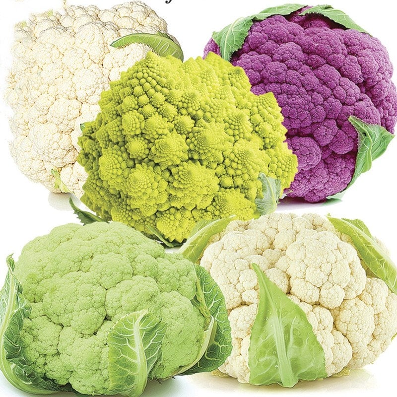 Cauliflower Chefs Choice Mix Seeds Heirloom Vegetable | Etsy