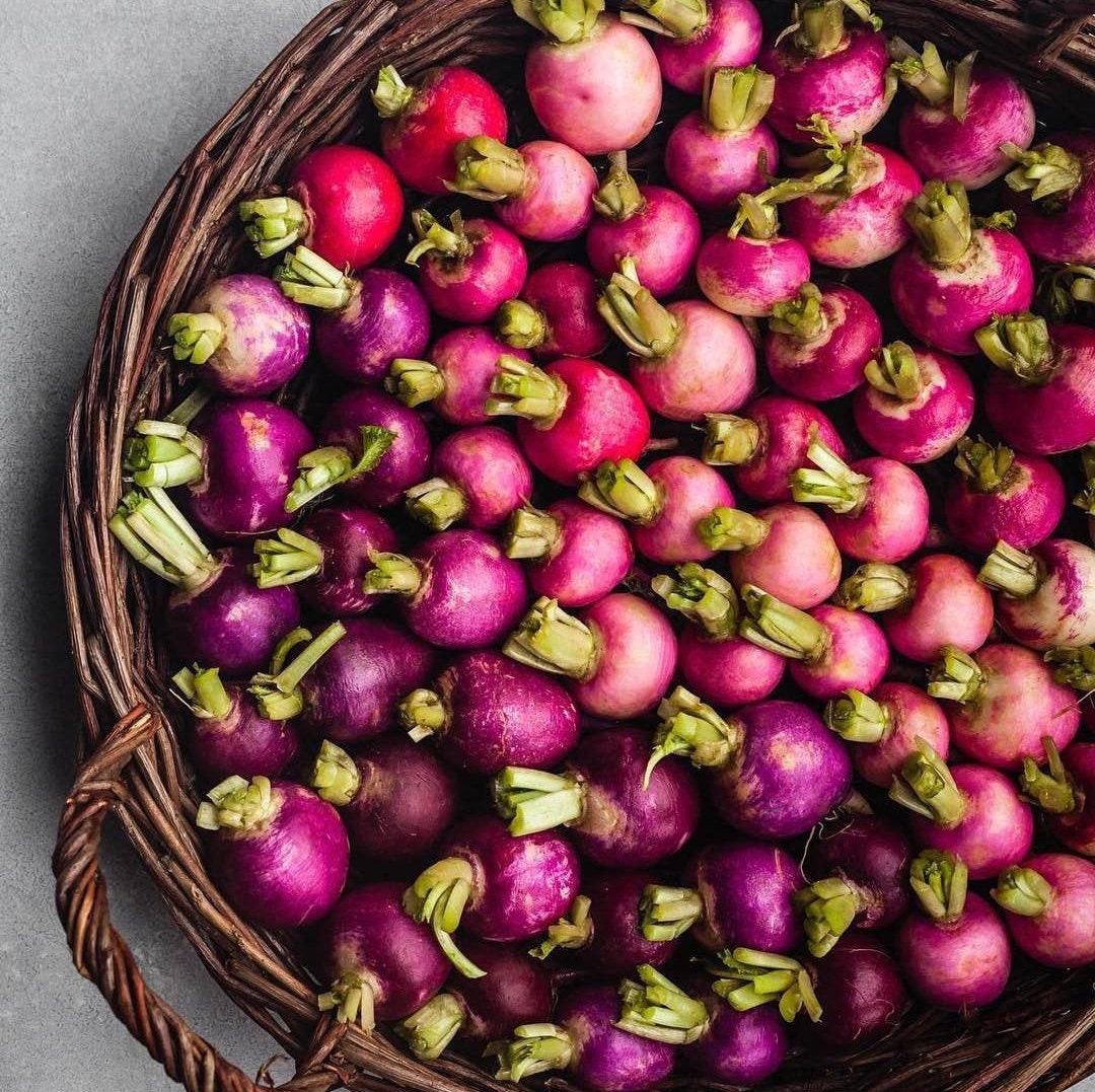 Rainbow Radish Seeds Radish Chupa Chups Seeds Heirloom | Etsy
