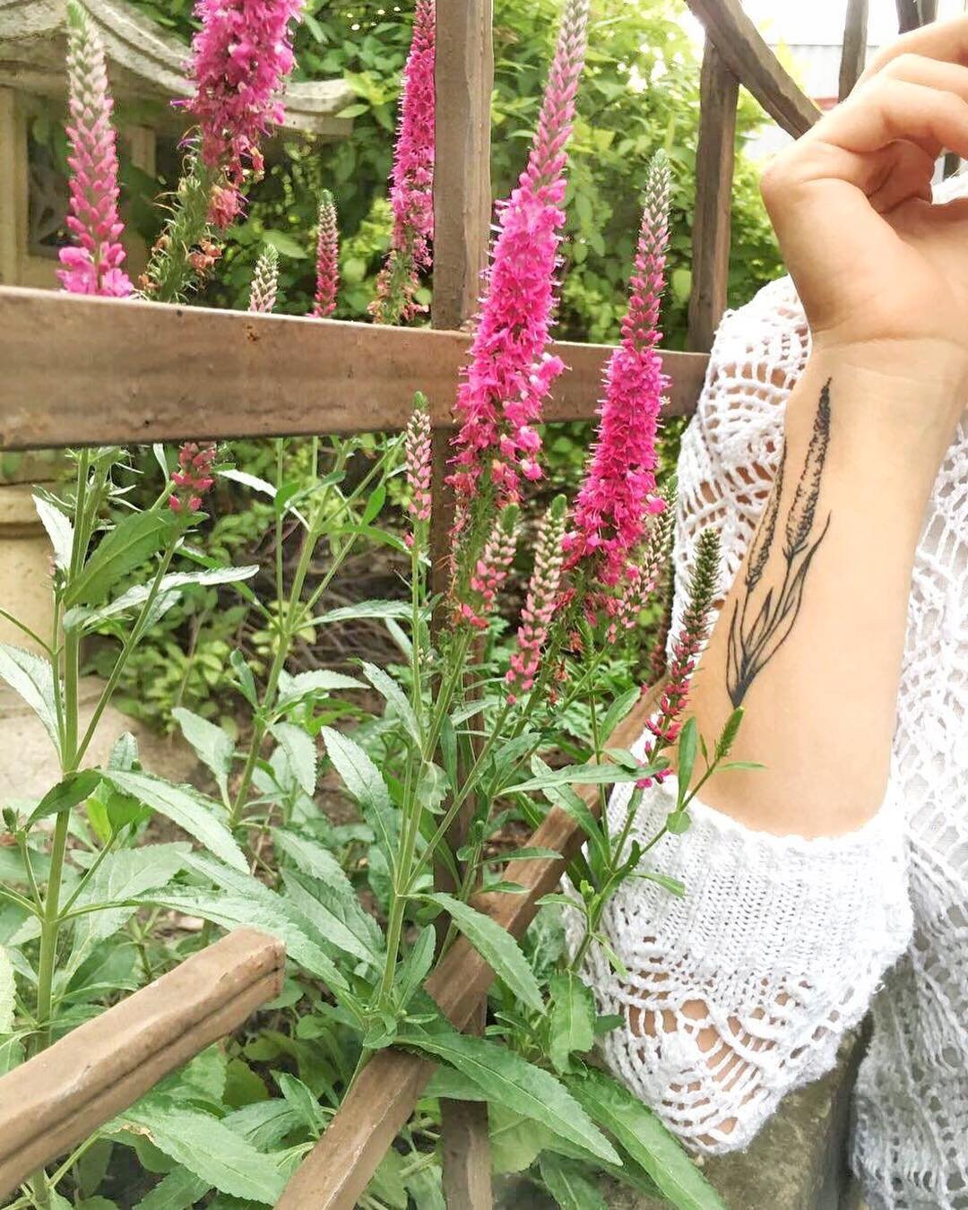 Veronica Spicata Mix Seeds Veronica Longifolia Seeds - Etsy Canada