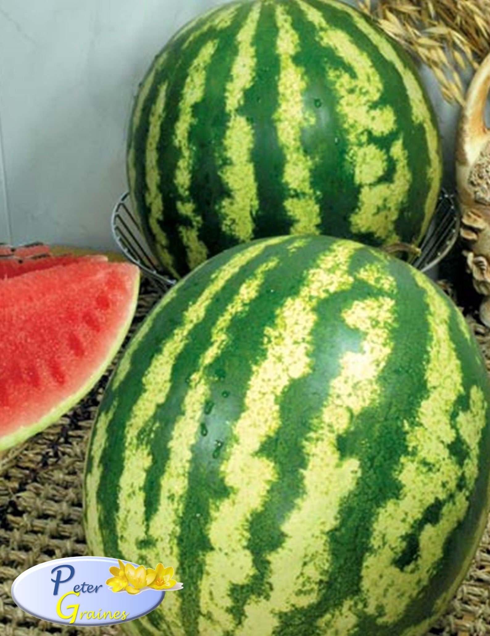 Rare Seeds Watermelon Producer Organic Heirloom Melon Seed | Etsy