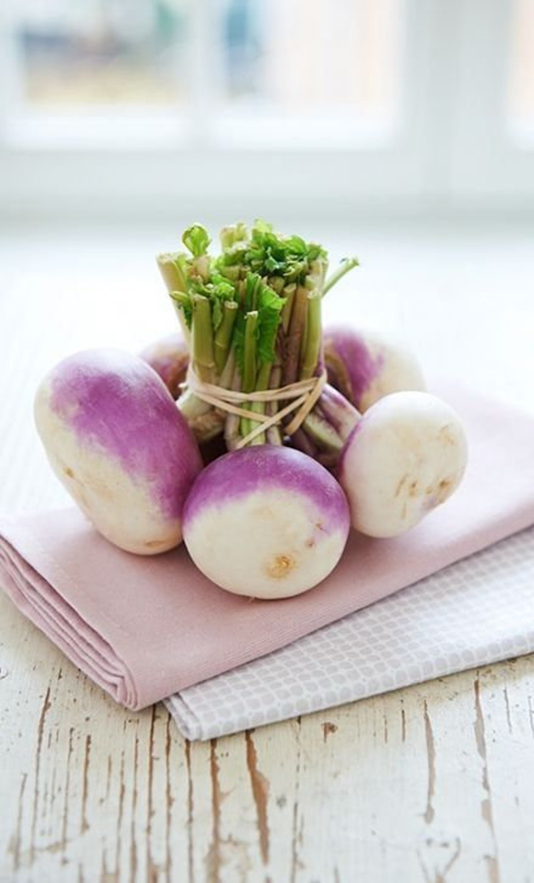 Semillas Laurentian de Nabo Semillas de Nabo Herencia Semillas de ...