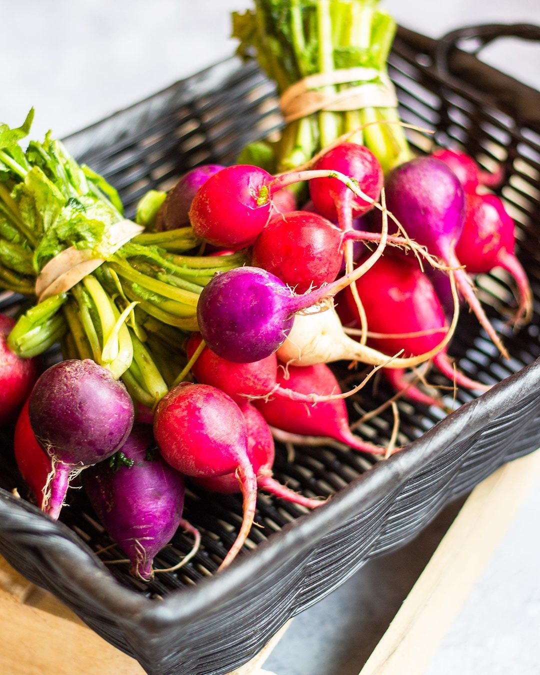 Rainbow Radish Seeds Radish Chupa Chups Seeds Heirloom | Etsy