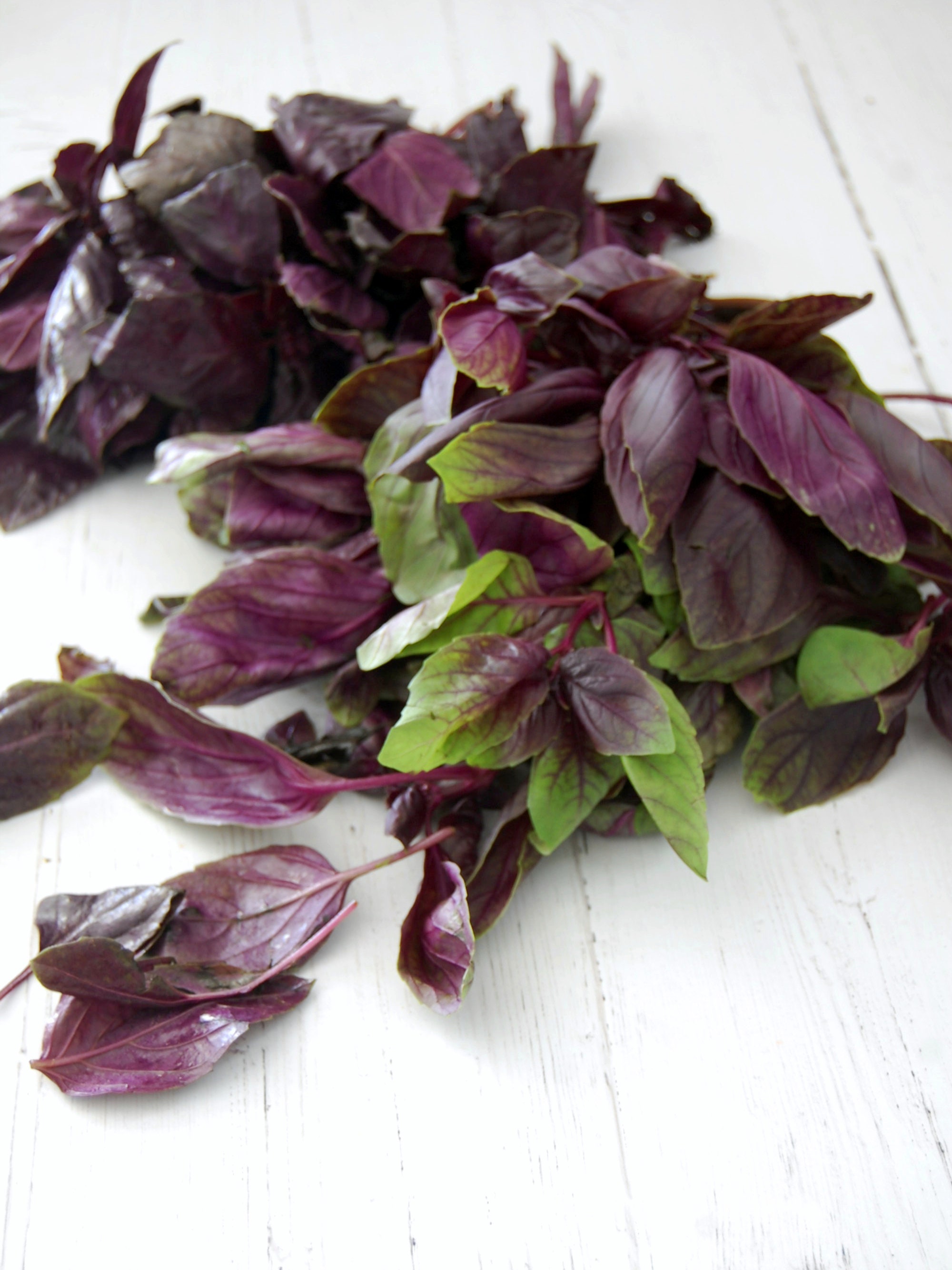 Basil Red Rubin Seeds Ocimum Basilicum Vegetable Seeds | Etsy