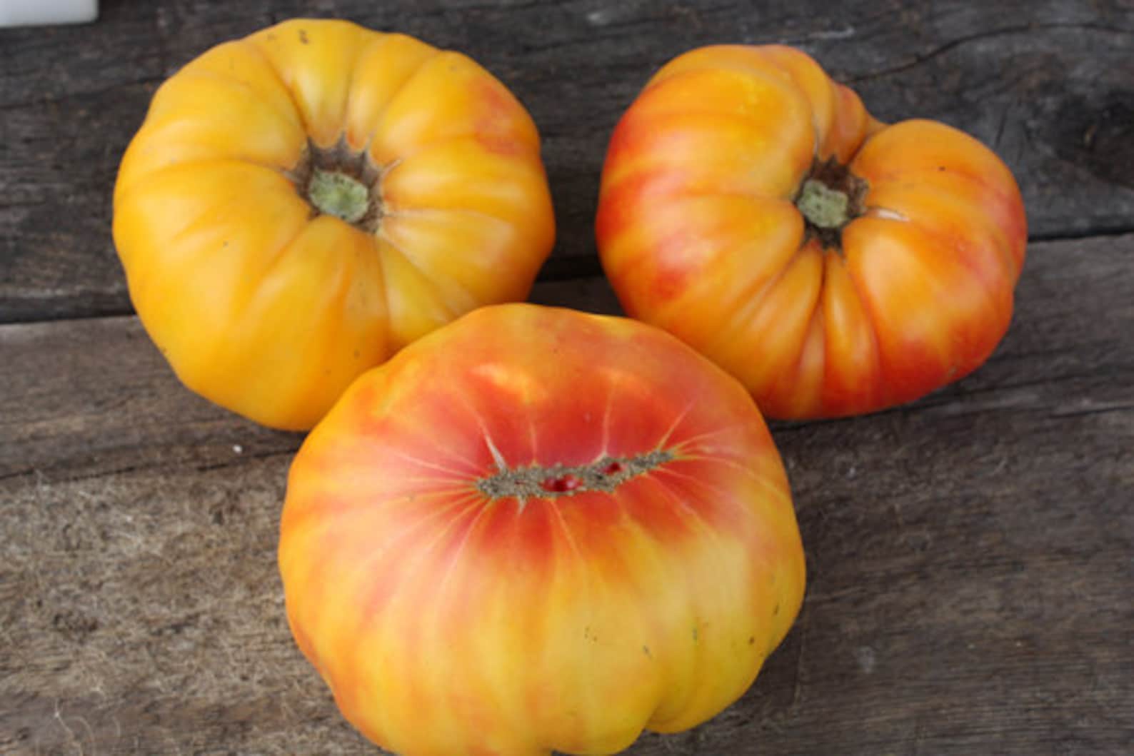 Tomato Cherokee Golden Seeds Beefsteak Tomato Seeds - Etsy