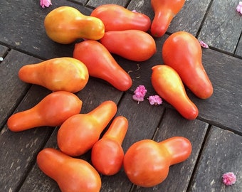 Red Tomato SANKA Seeds Heirloom Vegetable Seeds Non GMO | Etsy