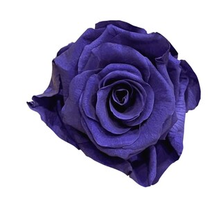 Single Rose - Preserved Roses That Last 365 Days, Xmas Gifts, Real ...