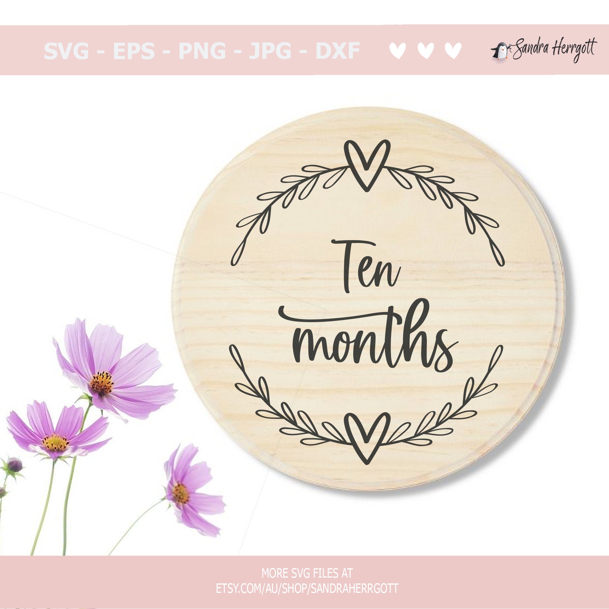Baby Milestone Plotter Files SVG DXF PNG Leaves Laurel Wreath - Etsy
