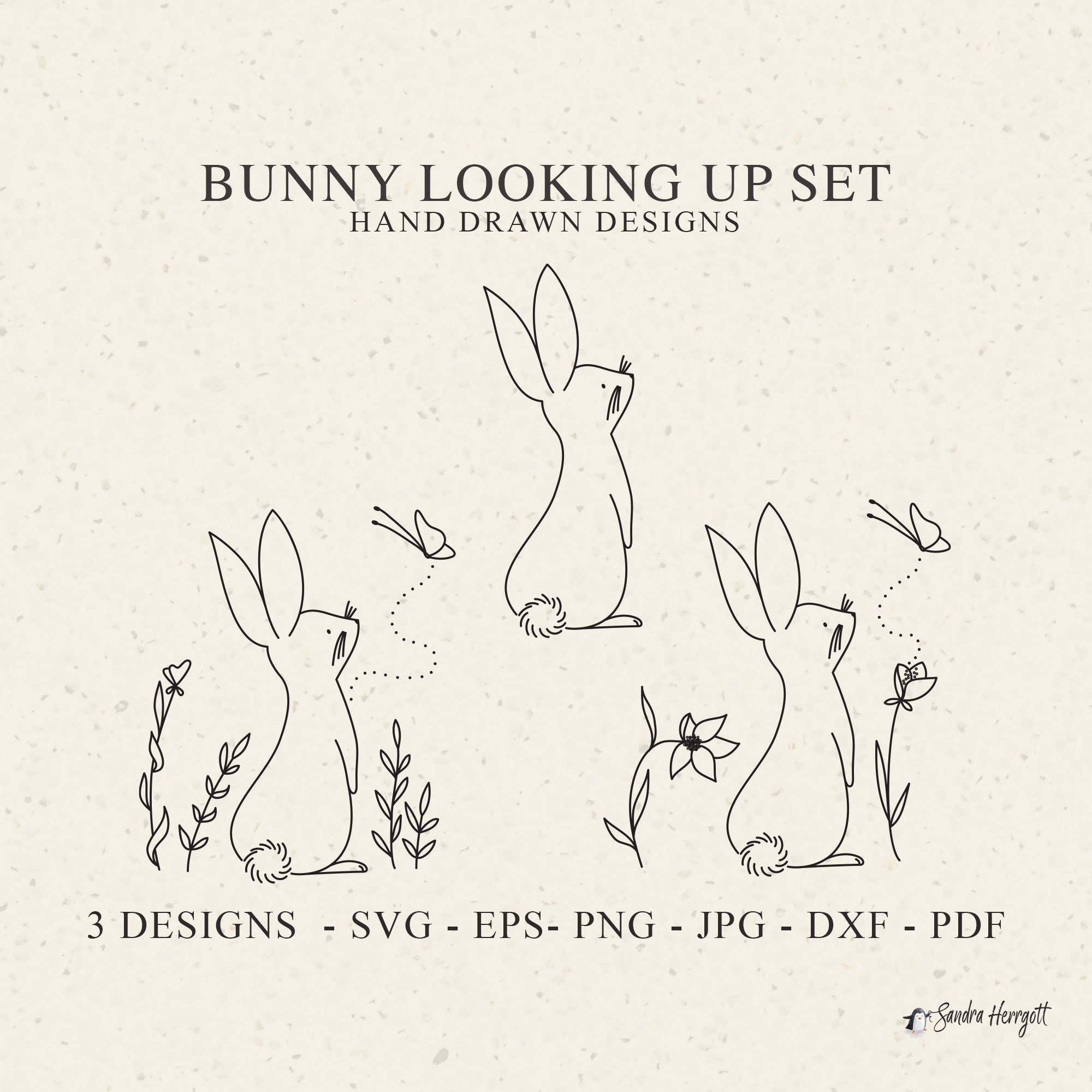 Bunny Plotter File Svg Dxf Eps Png Jpg Pdf Baby Animal Cricut - Etsy