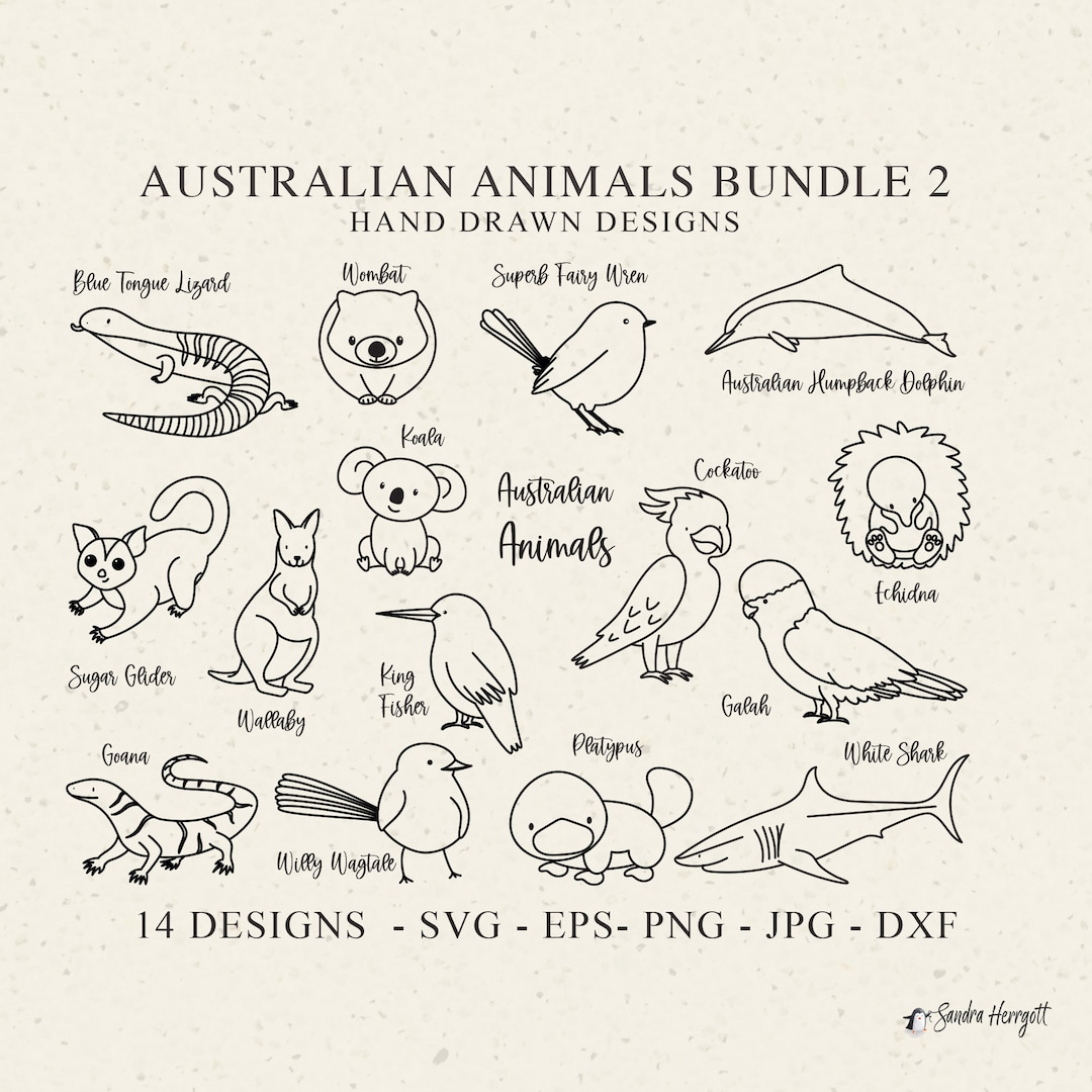 Australian Animal Plotter File Svg Dxf Png Jpg Cute Aussi Baby Koala ...