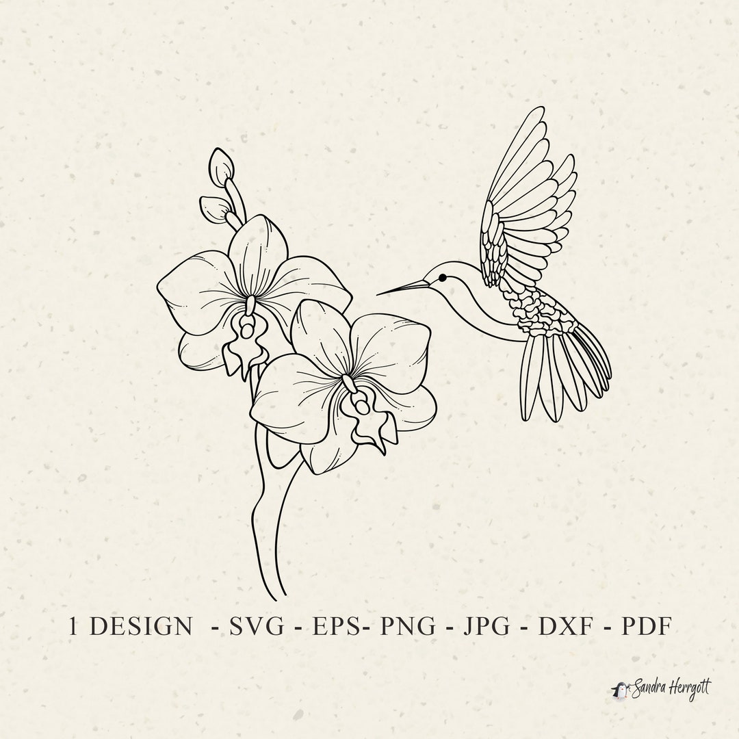 Orchidee Kolibri Plotterdatei svg Dxf Png Eps Jpg Pdf Wildblume Cricut Botanische Blumen Clipart ...