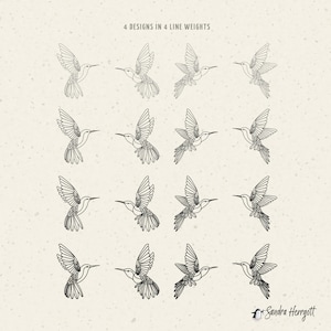 Hummingbird Plotter File Svg Dxf Png Eps Jpg Pdf Cute Bird Cricut Sweet ...