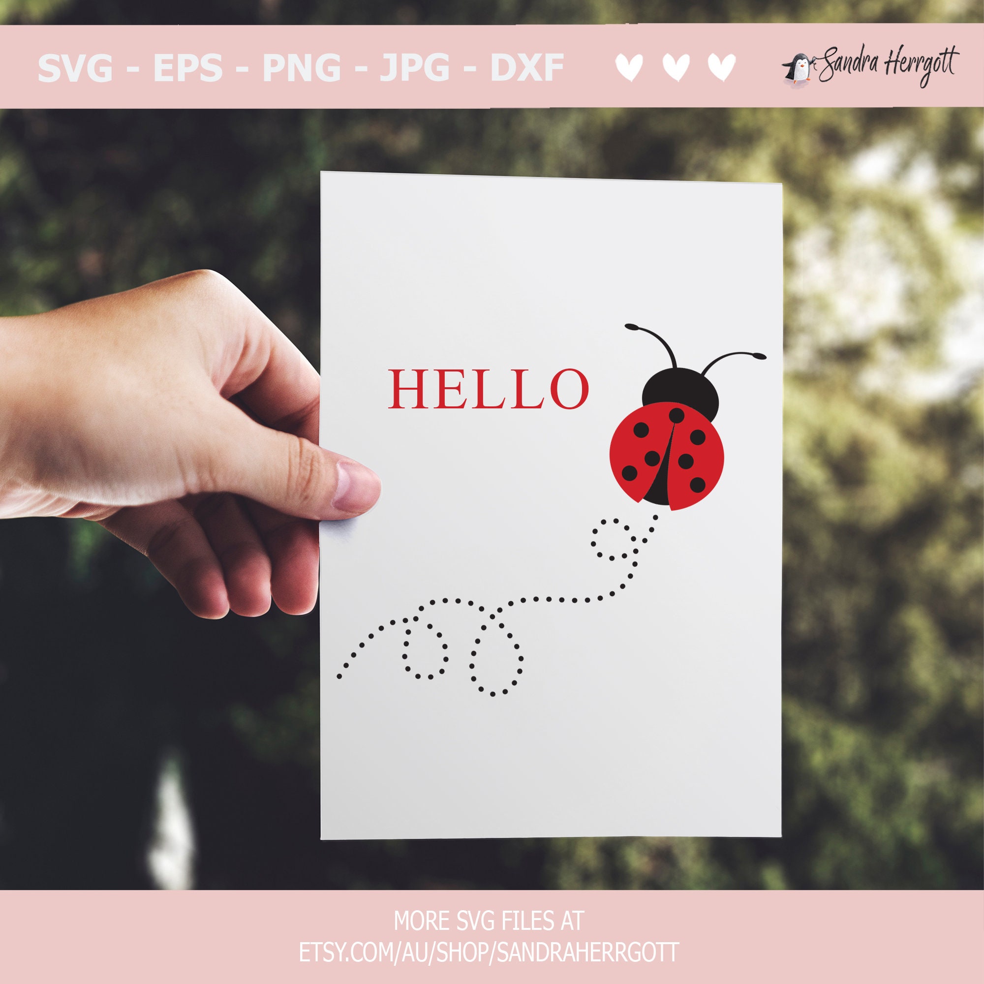 Ladybug Path Plotter File Svg Dxf Png Jpg Insect Cricut Cute Silhouette ...