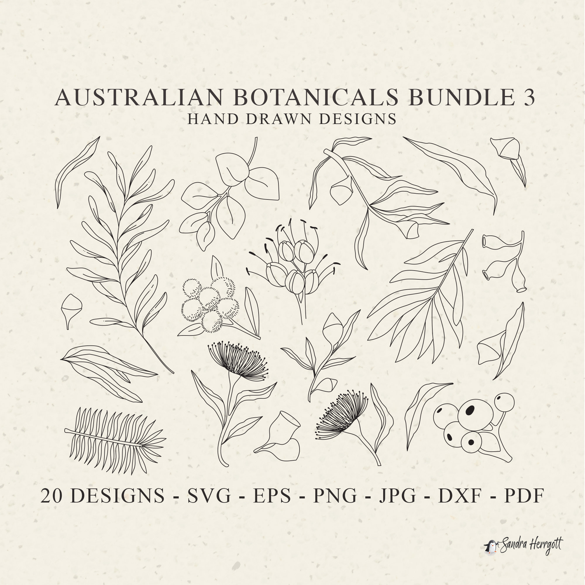Australian Botanicals Plotter File Svg Dxf Png Pdf Jpg Tropical Floral ...