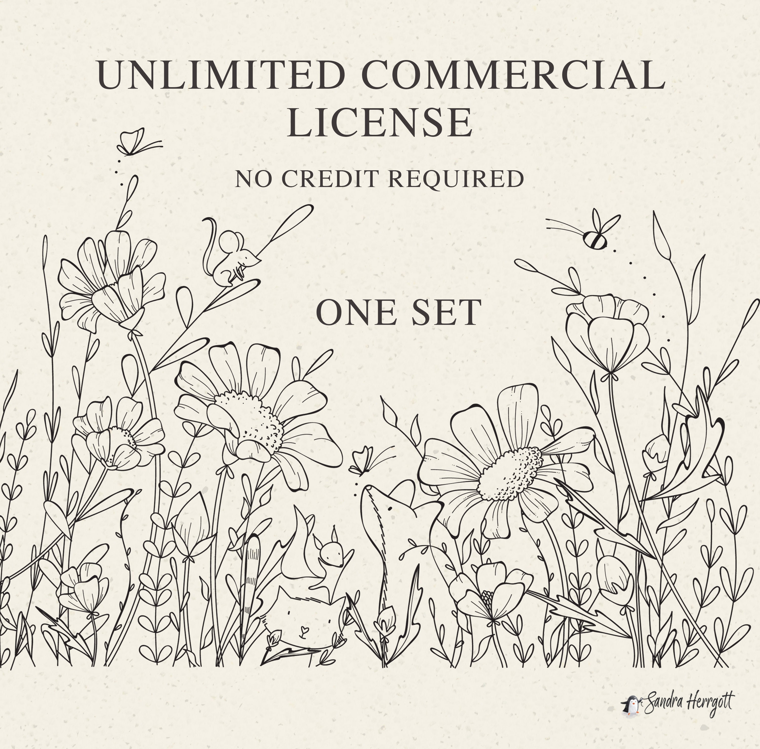 Unlimited Commercial License for One Set No Credit Required - Etsy