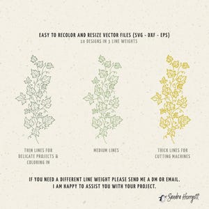 Ivy Plotter File Svg Dxf Png Eps Pdf Climber Cricut Botanical ...
