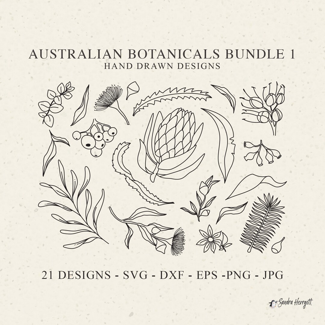 Australian Botanicals Plotter File Svg Dxf Png Eps Jpg Tropical Floral ...