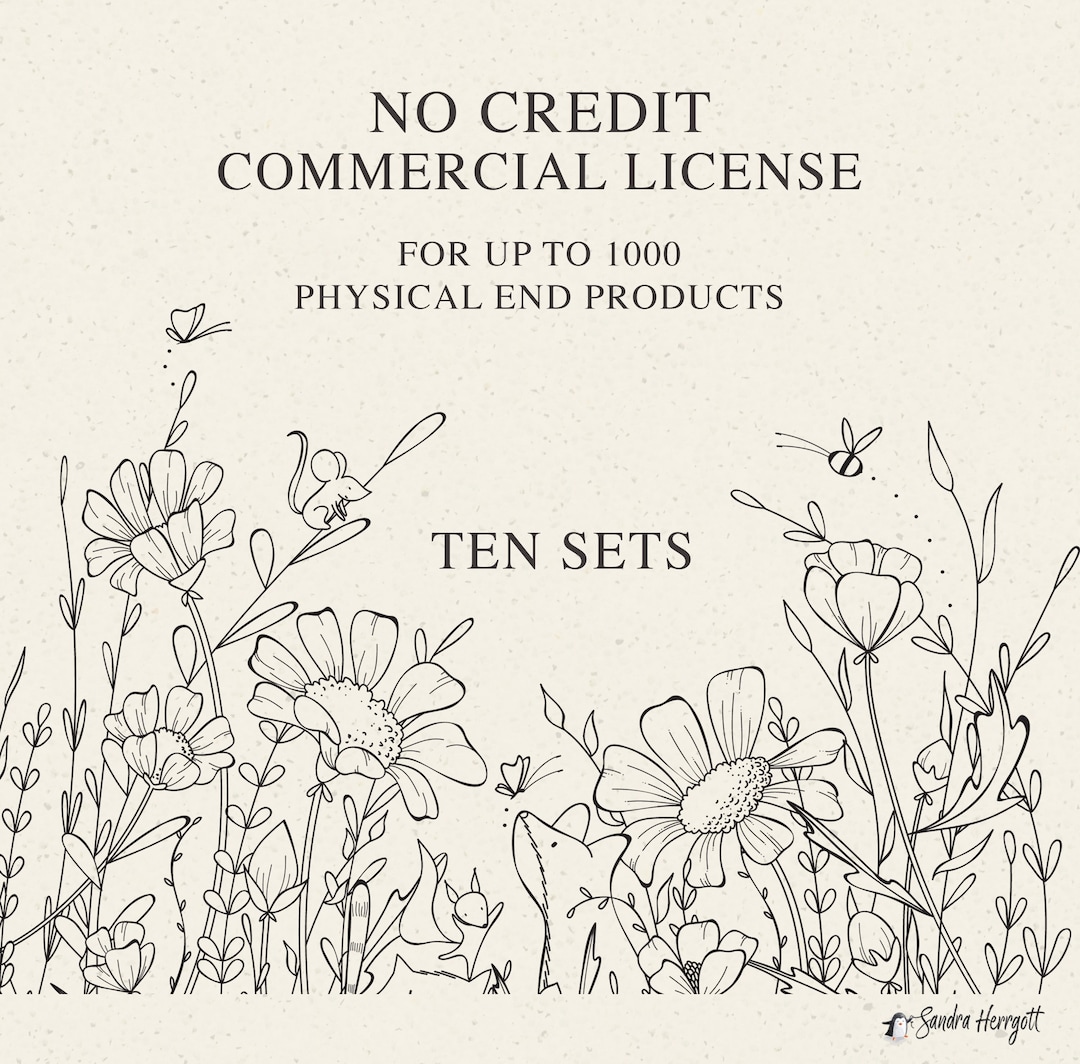 NO CREDIT Commercial License for Ten Sets, for up to 1000 Units ...