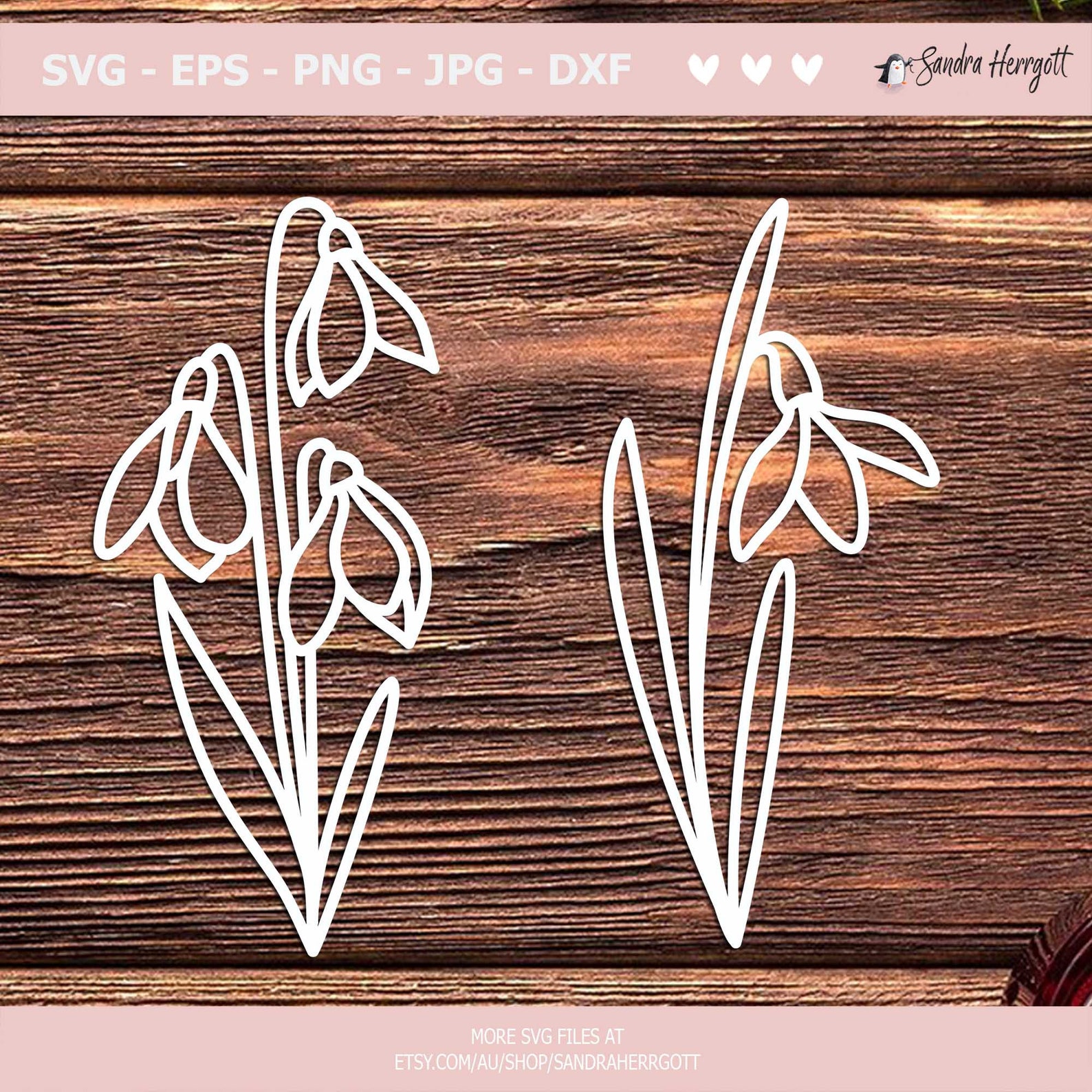 Snowdrop Plotter File Svg Dxf Png January Birth Month Flower Cricut ...
