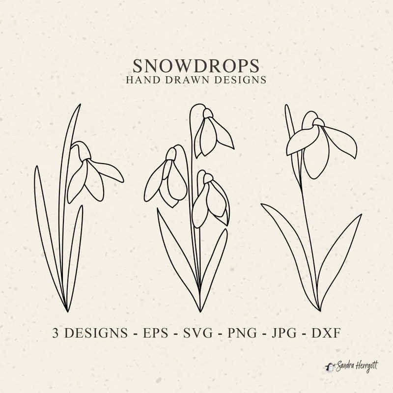 Snowdrops Flower Png - Etsy