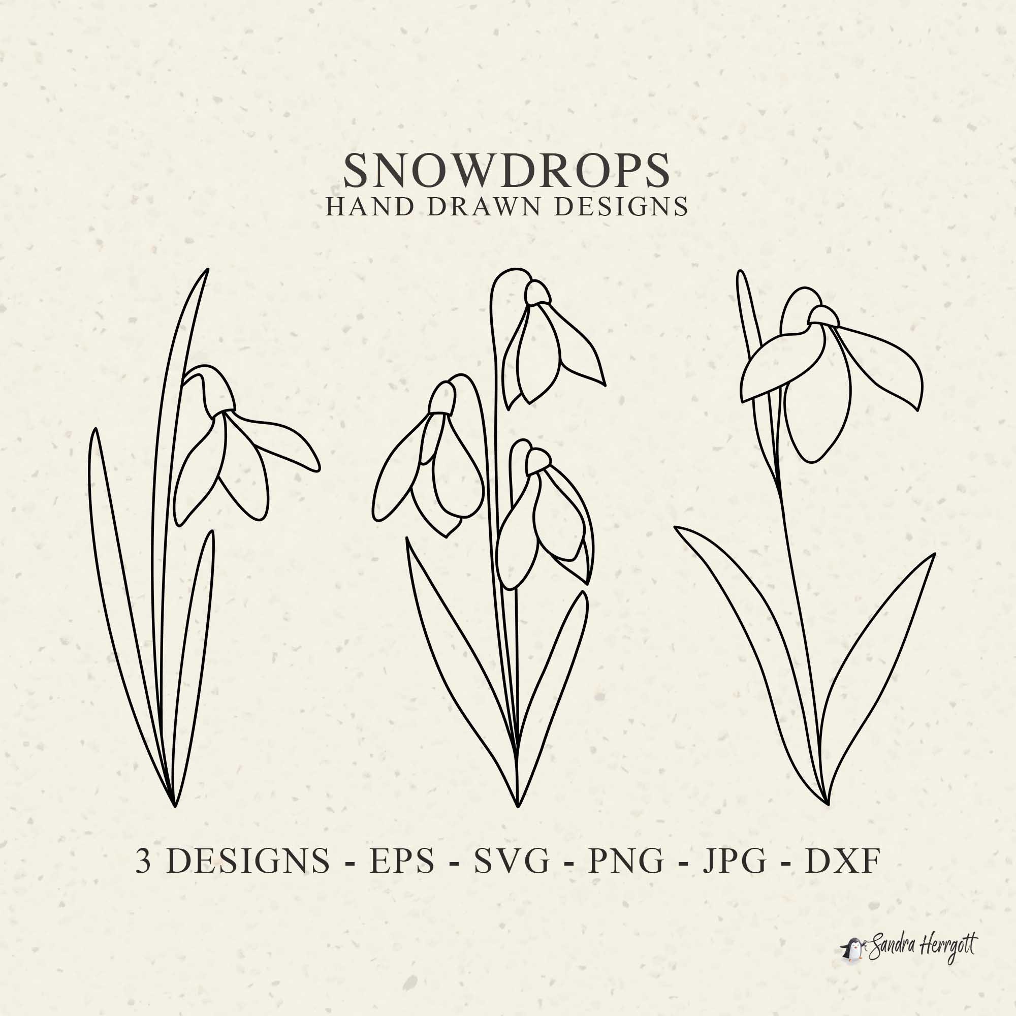 Snowdrop Plotter File Svg Dxf Png January Birth Month Flower - Etsy UK