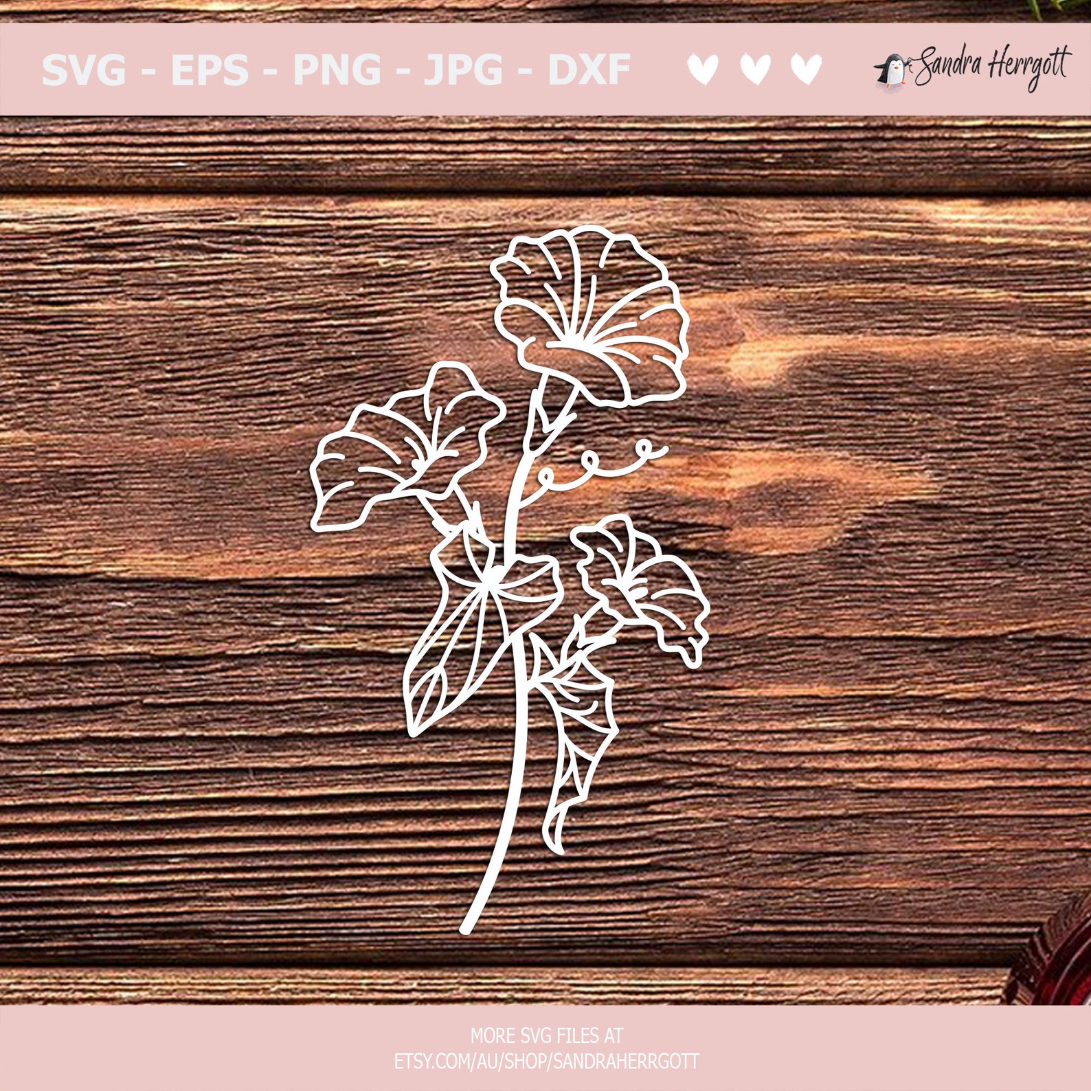 Morning Glory Plotter File Svg Dxf Png Jpg Cute Wildflower - Etsy