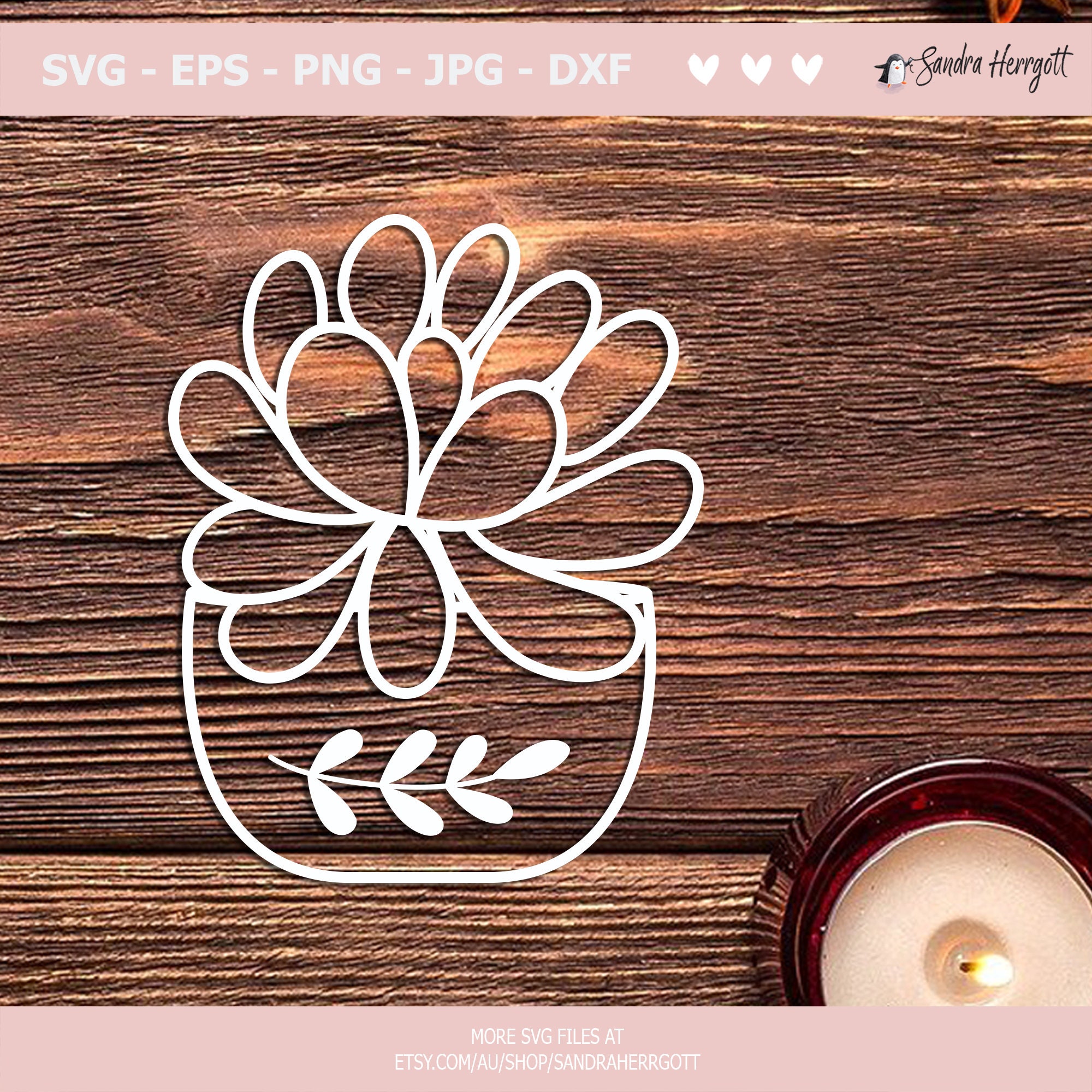 Succulent Pot Plant Plotter File SVG DXF PNG Cactus Cricut | Etsy Australia
