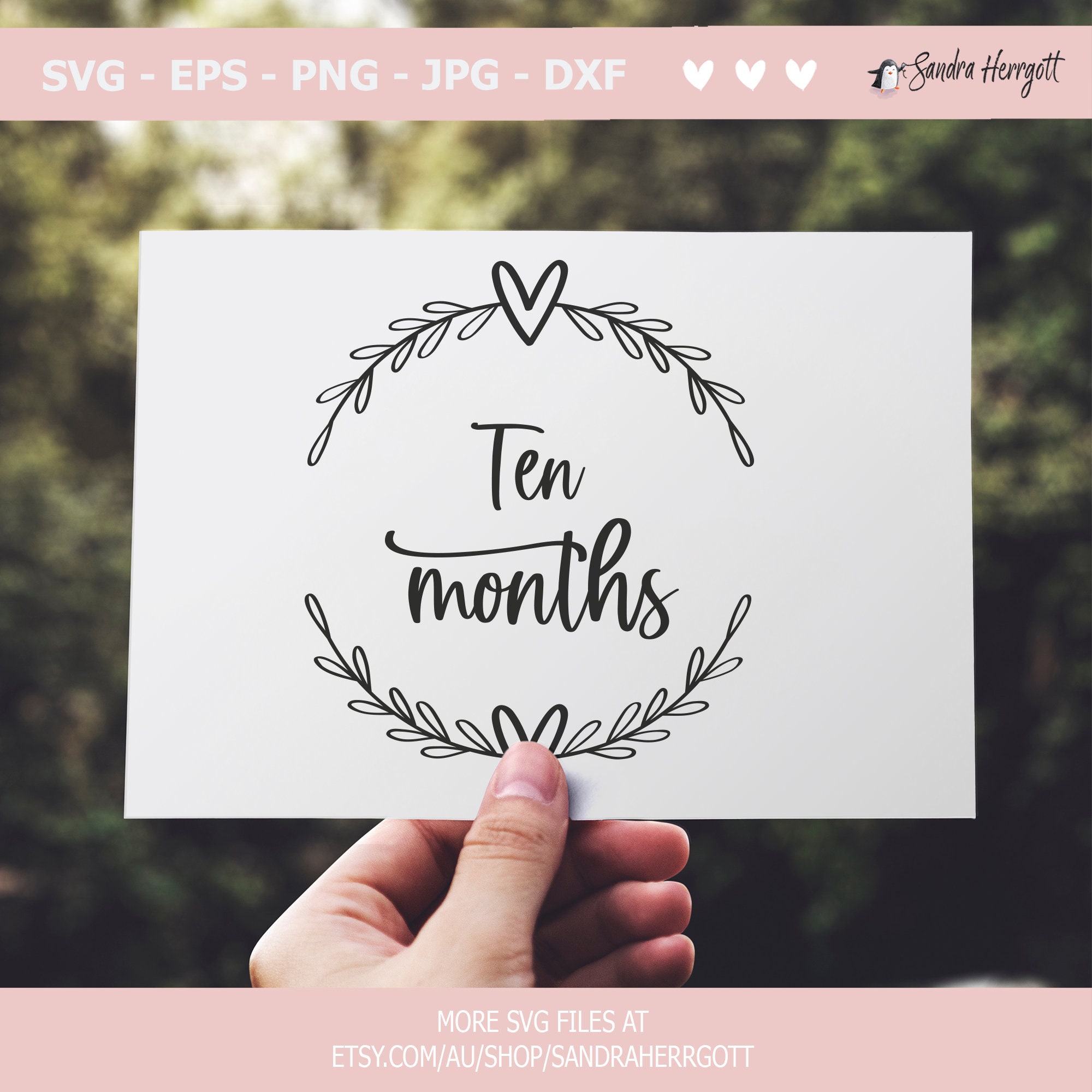 Baby Milestone Plotter Files SVG DXF PNG Leaves Laurel Wreath - Etsy