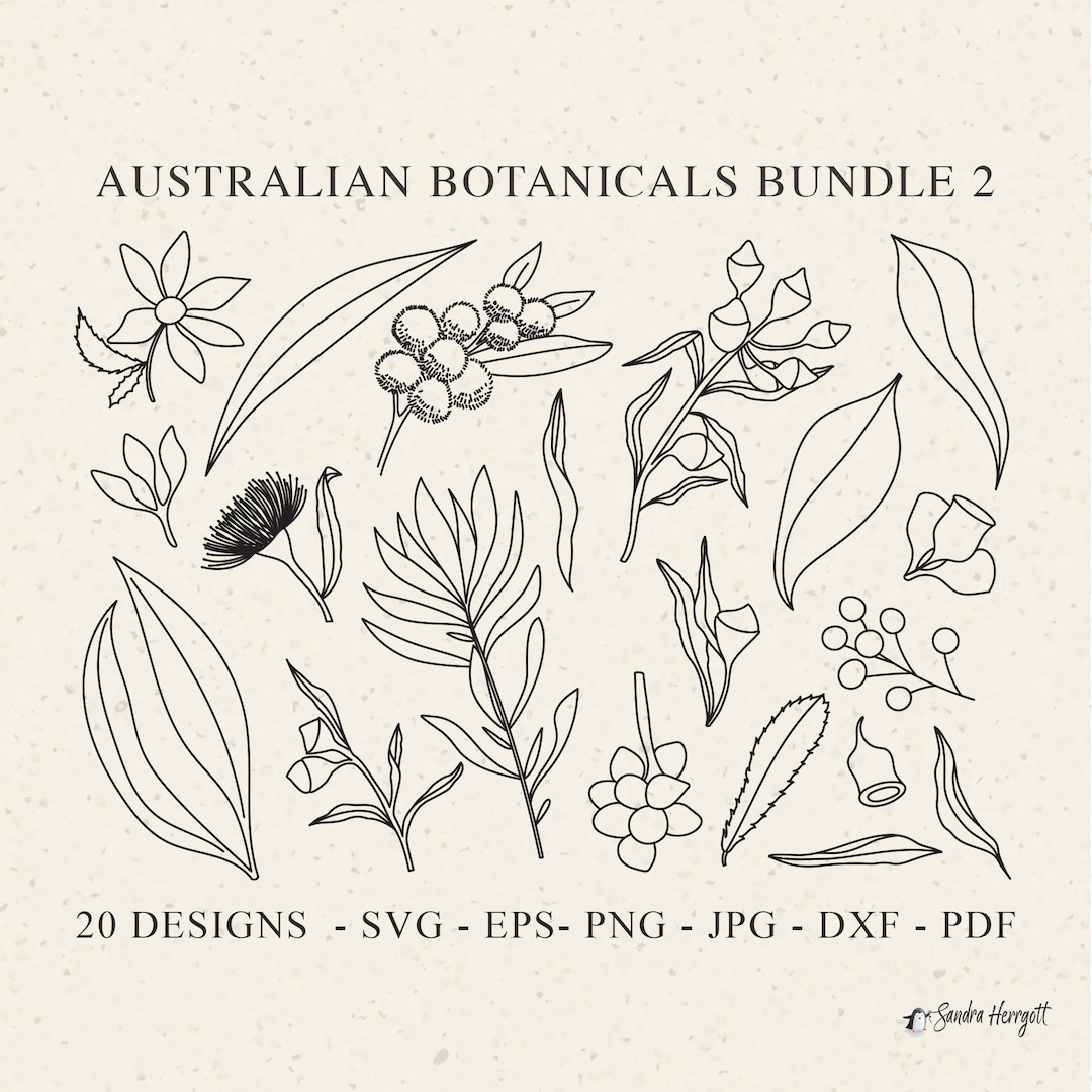 Australian Botanicals Plotter File Svg Dxf Png Eps Jpg Tropical Floral ...