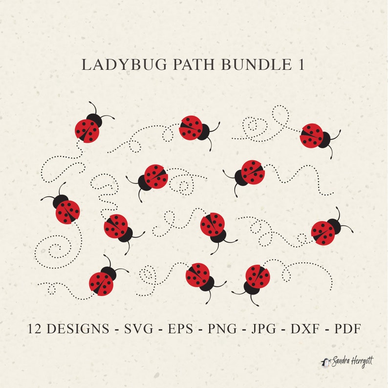 Ladybug Path Plotter File Svg Dxf Png Jpg Insect Cricut Cute Silhouette ...