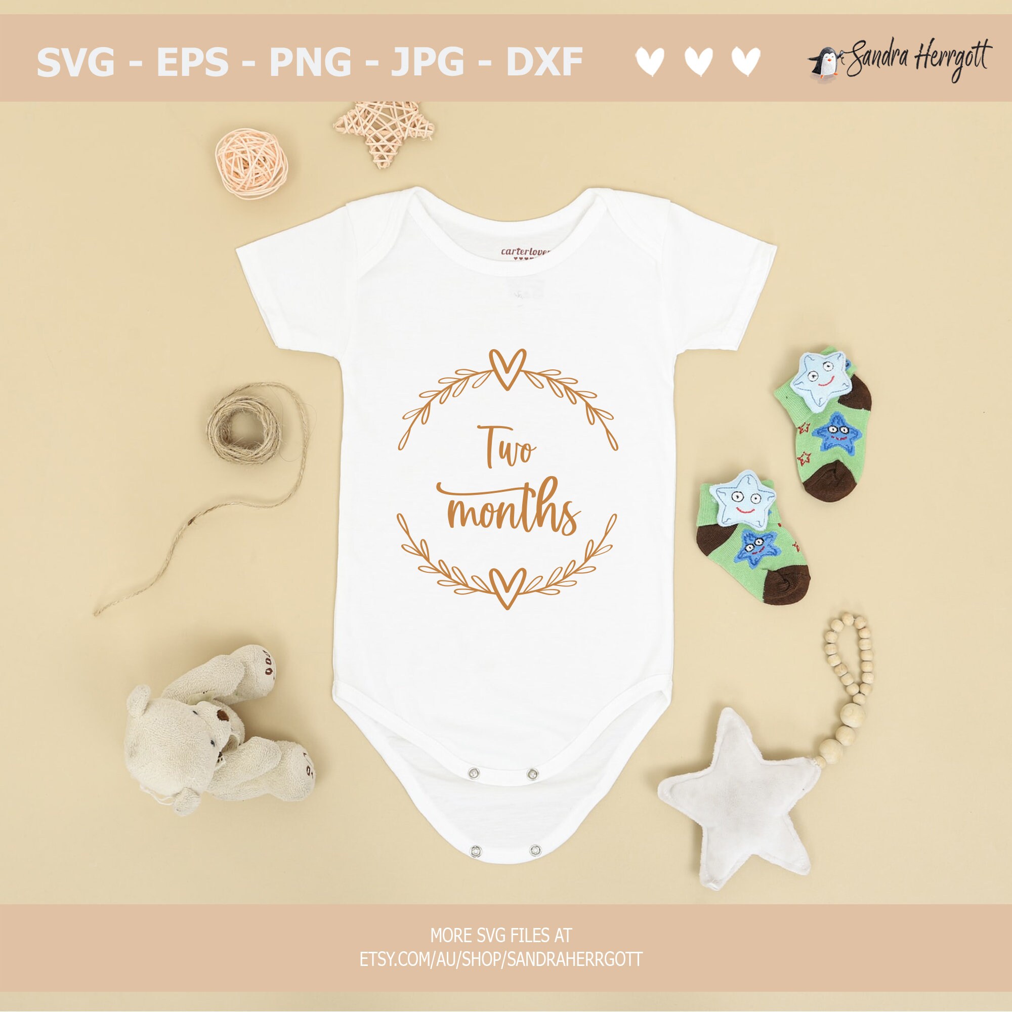 Baby Milestone Plotter Files SVG DXF PNG Leaves Laurel Wreath - Etsy