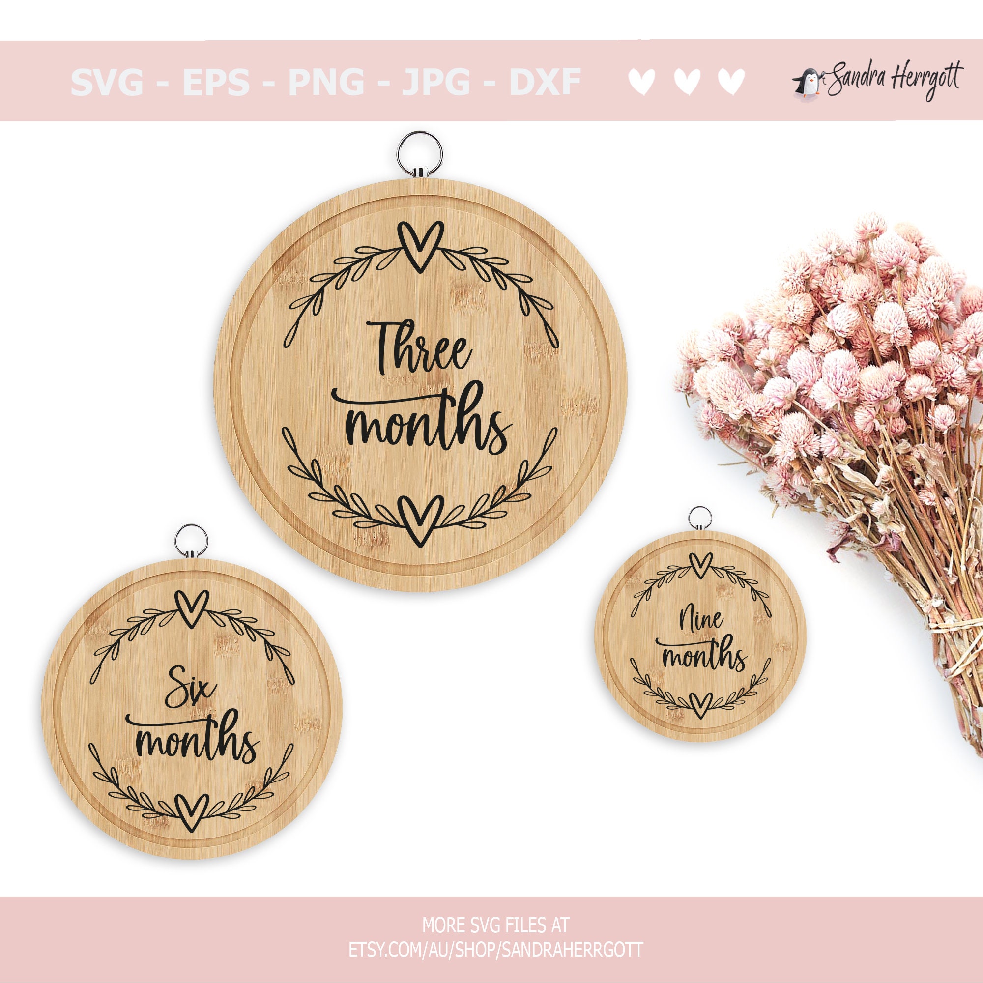 Baby Milestone Plotter Files SVG DXF PNG Leaves Laurel Wreath - Etsy