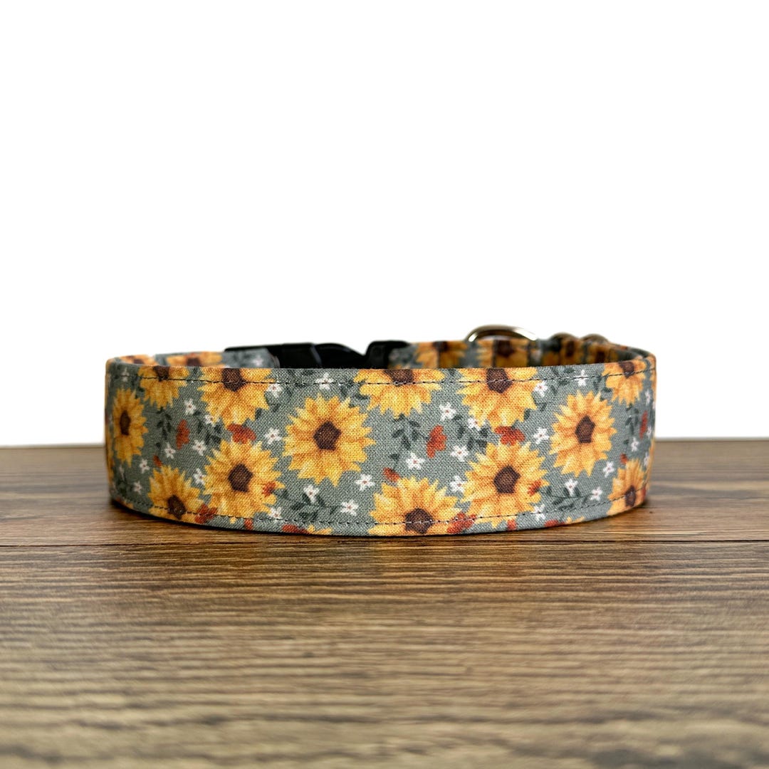 Sunflower Dog Collar, Floral Dog Collar, Fall Dog Collar, Yellow Floral ...