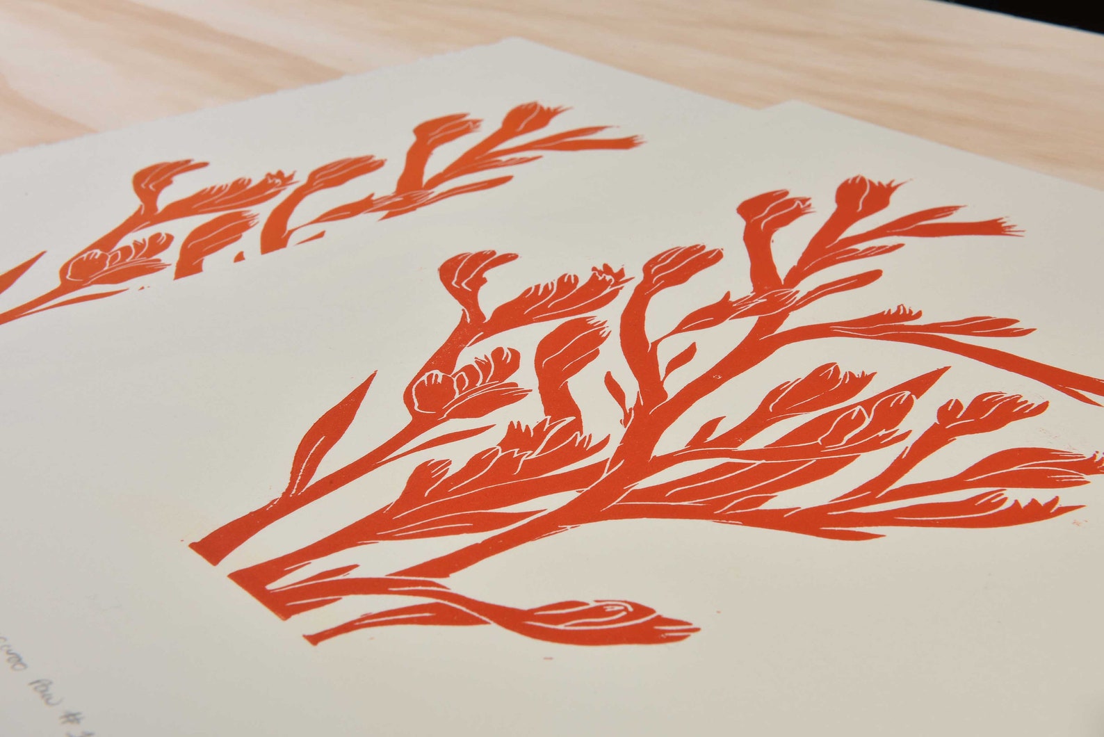 Kangaroo Paw Linocut Orange | Original Hand Carved Linocut Print ...
