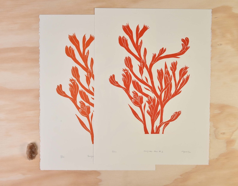 Kangaroo Paw Linocut Orange Original Hand Carved Linocut | Etsy