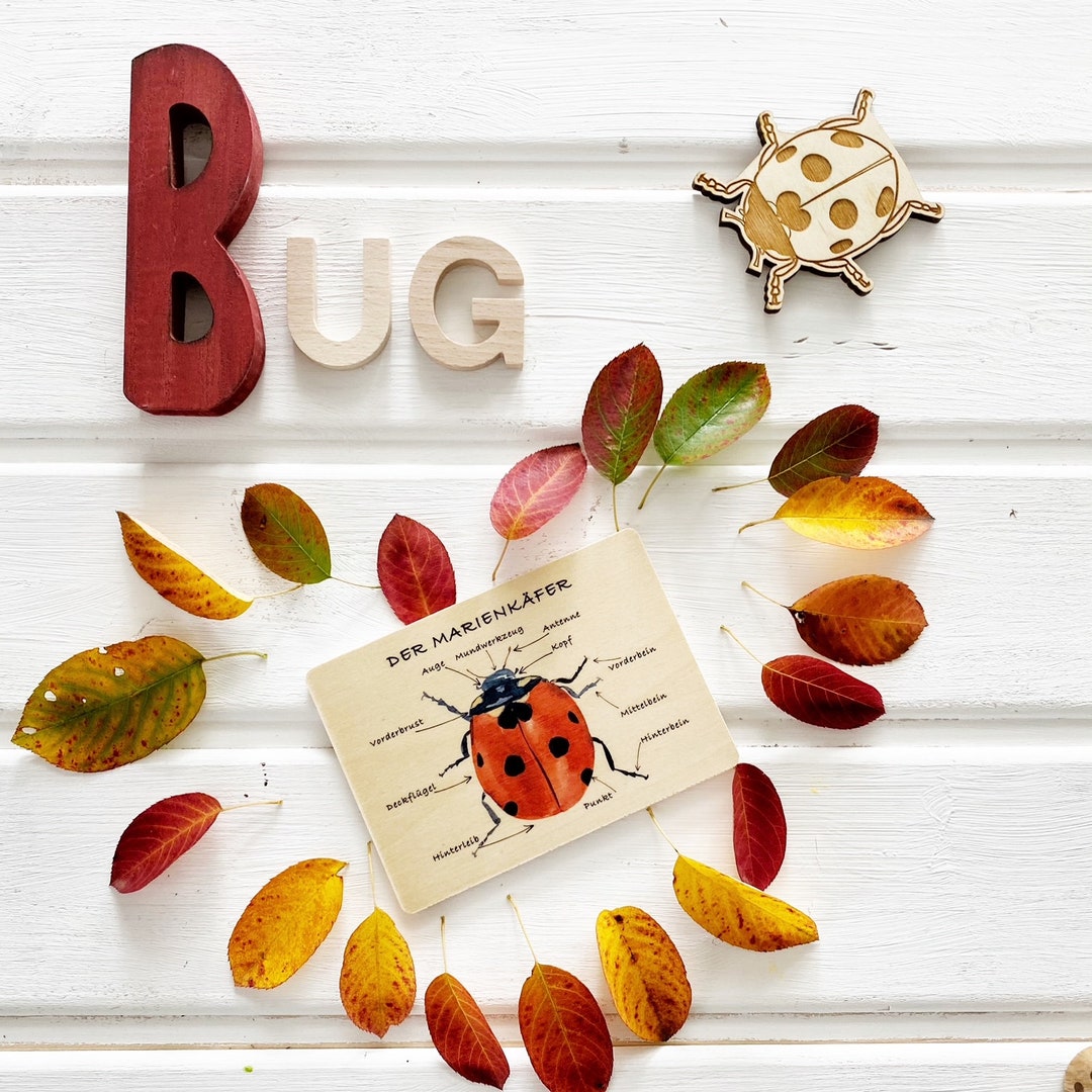 Flashcards for Children Language Development for Kindergarten and ...