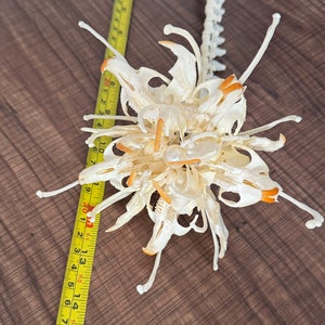 Exquisite Real Bone Splicing Painting DIY Specimen Creative Horror Bone ...