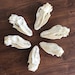 Exquisite Real Fox Skull Bone Specimen After Cleaned and Bleached. - Etsy