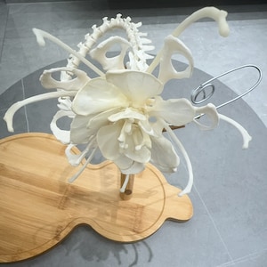 Exquisite Real Bone Splicing Assembly Painting DIY Specimen Creative ...
