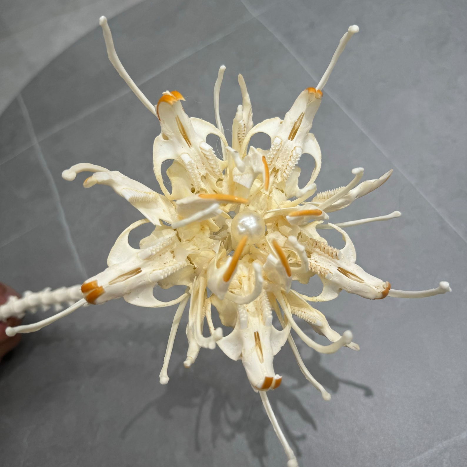 Exquisite Real Bone Splicing Painting DIY Specimen Creative Horror Bone ...