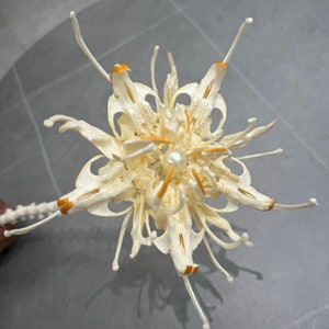 Exquisite Real Bone Splicing Painting DIY Specimen Creative Horror Bone ...