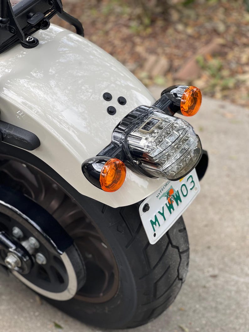 License Plate Mount Fender "tailtuck" Harley-davidson Lowrider ST ...